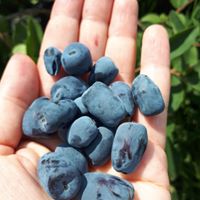 La camerise – SOL-AIR Consultants